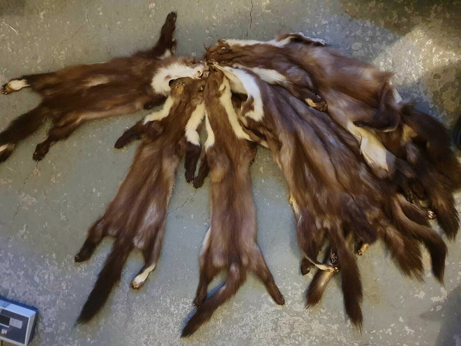 Real marten skins, marten fur, stone marten crafting, LARP decoration 2 ...