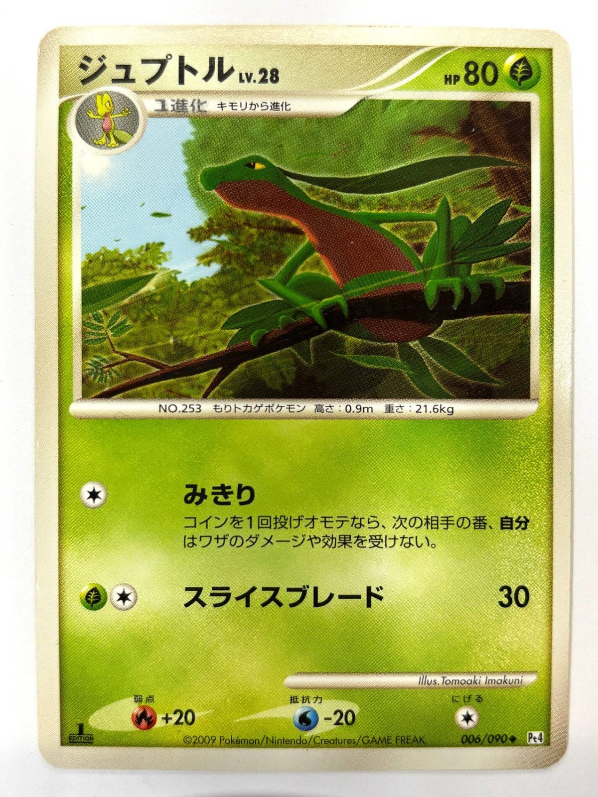 MP POKEMON CARD Grovyle 1ED 006/090 JAPAN $5.20 - PicClick AU