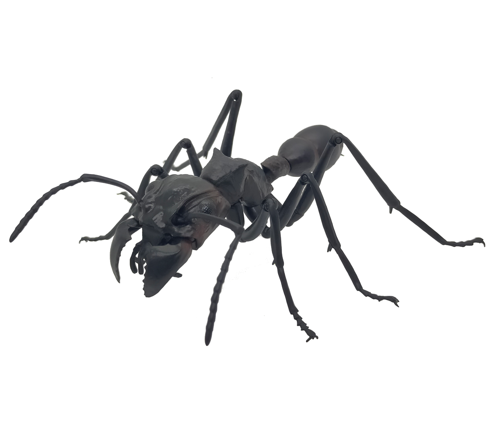 Bandai Gashapon Ant Figure 4.7 inch Big Realistic Paraponera Direct ...
