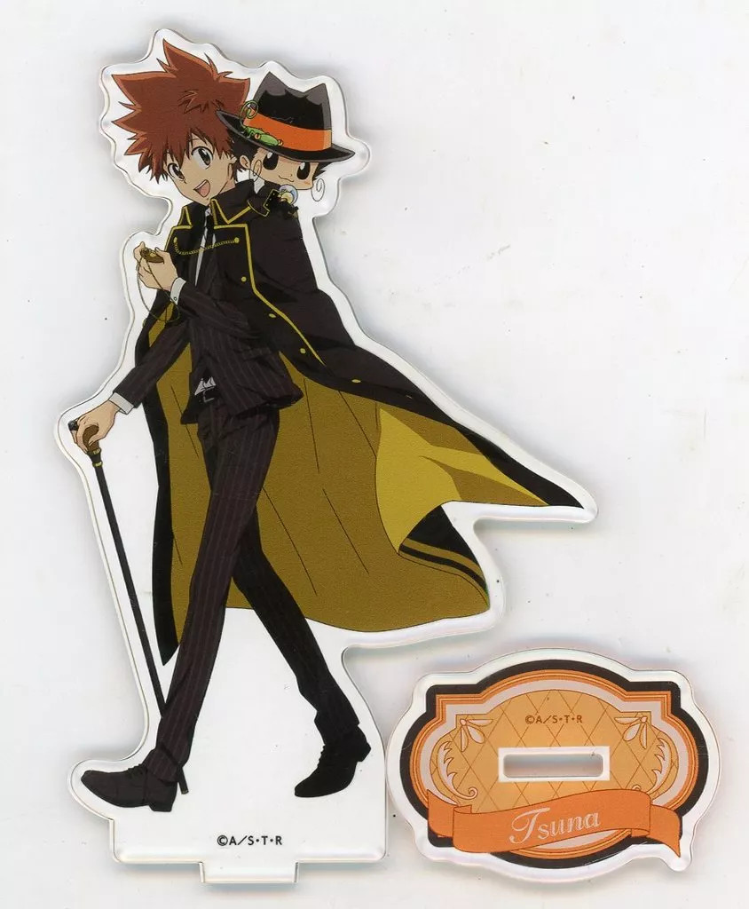 ACRYLIC STAND/ACRYLIC PANEL Tsunayoshi Sawada & Reborn Selectable ...