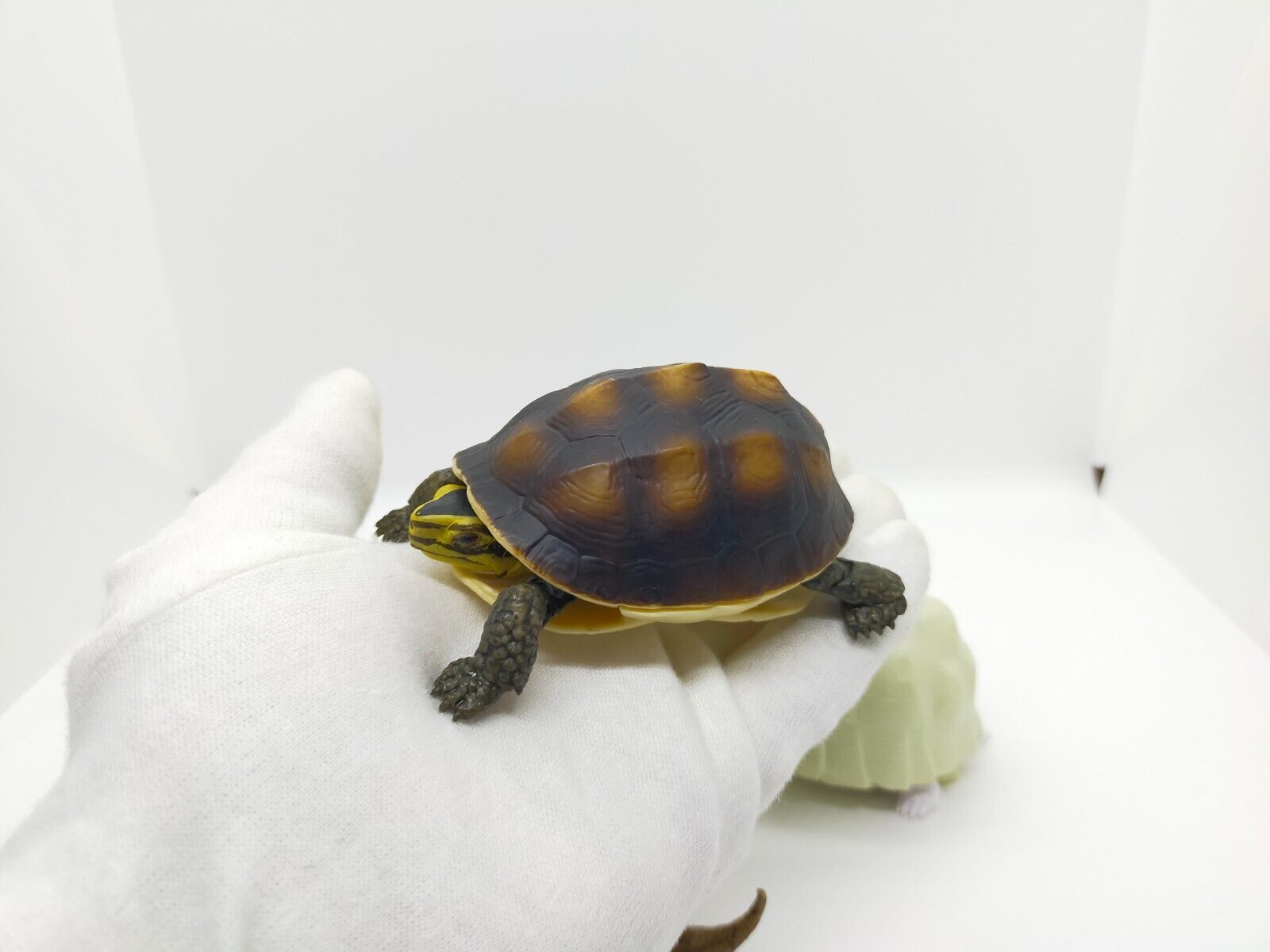 Bandai Gashapon Turtle Tortoise Figure Realistic 3 to 4 inch Direct ...