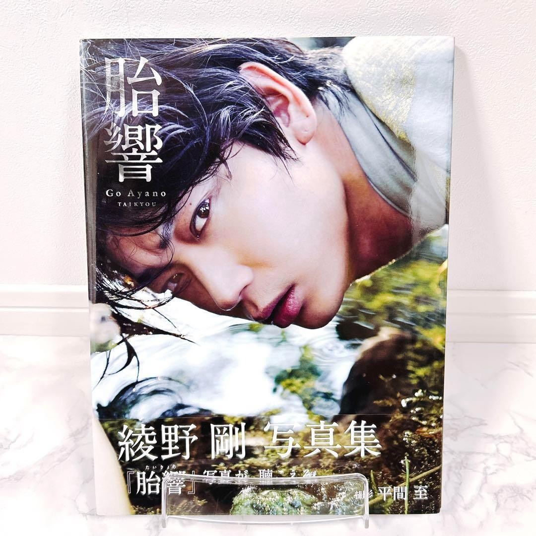 ALBUM FOTOGRAFICO AYANO Go Mahibiki con Obi, No-Go EUR 153,39 - PicClick IT