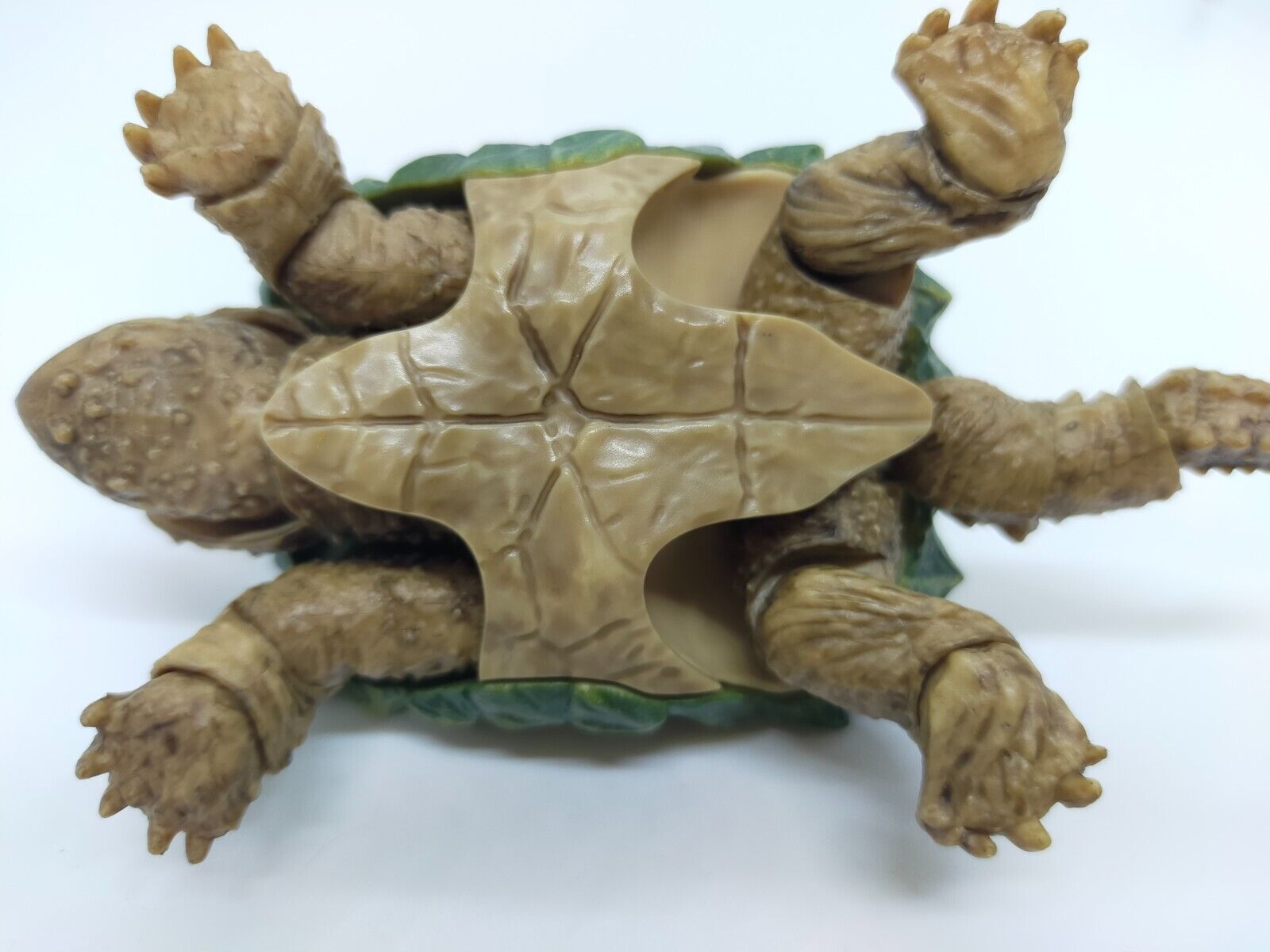 Bandai Gashapon Turtle Tortoise Figure Realistic 3 to 4 inch Direct ...