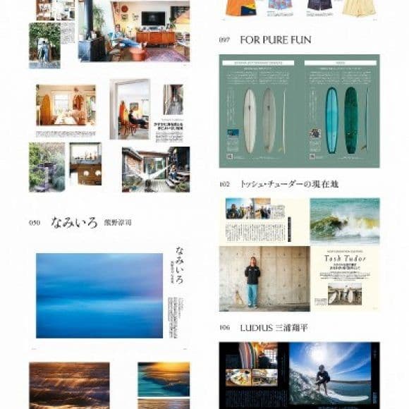 BLUE SURFER HOUSE 2026 Issue 6g EUR 43,15 - PicClick FR